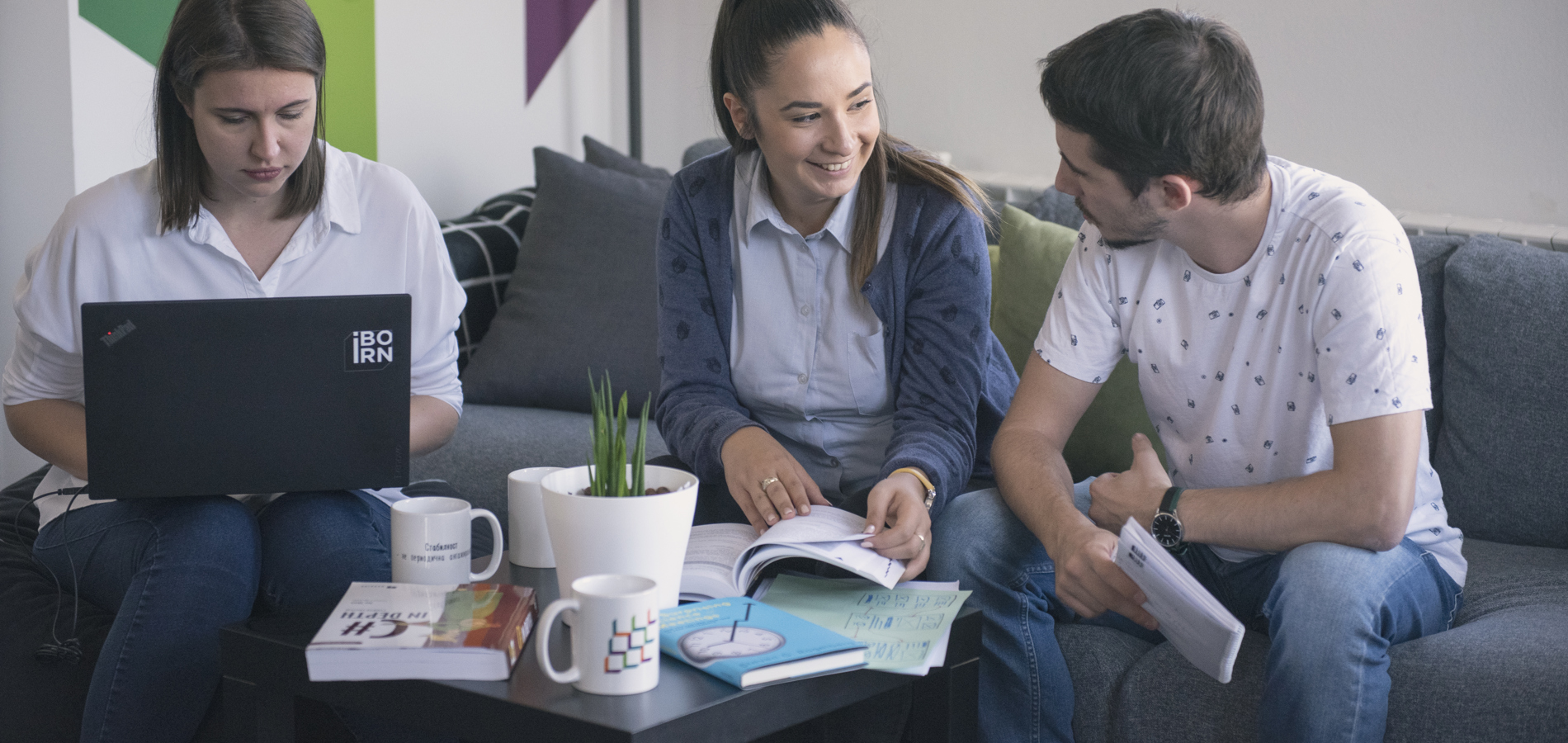 Ibornship: Internship at IBORN