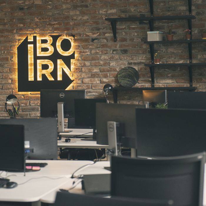 About IBORN: Who We Are and What We Stand For