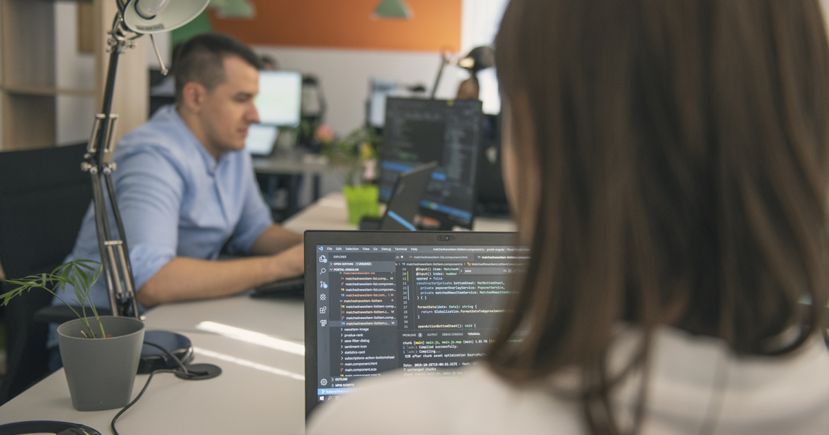 Software Development