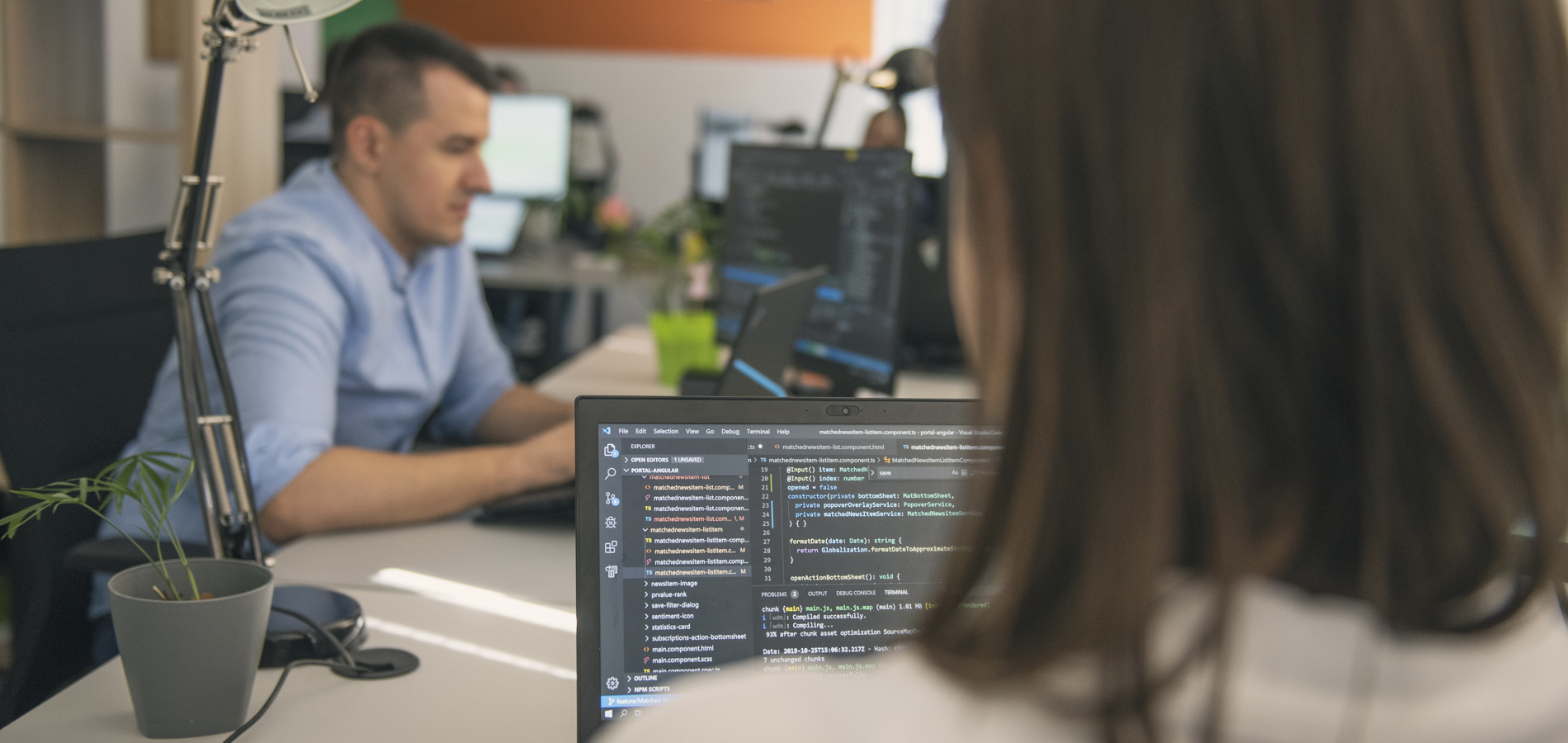Software Development