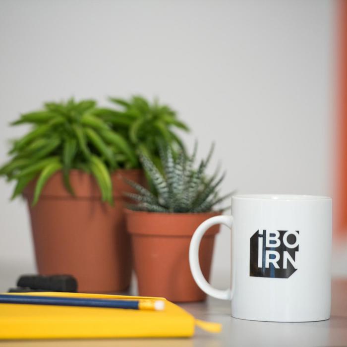 What is endomarketing and why is it important?