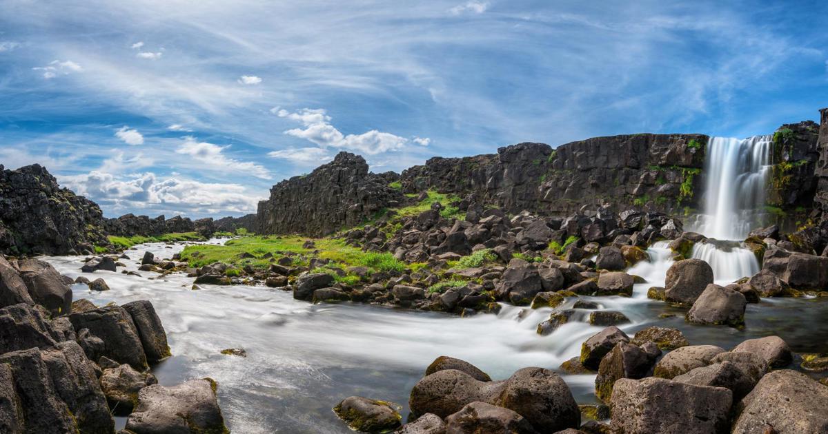 Say hello to Travia!